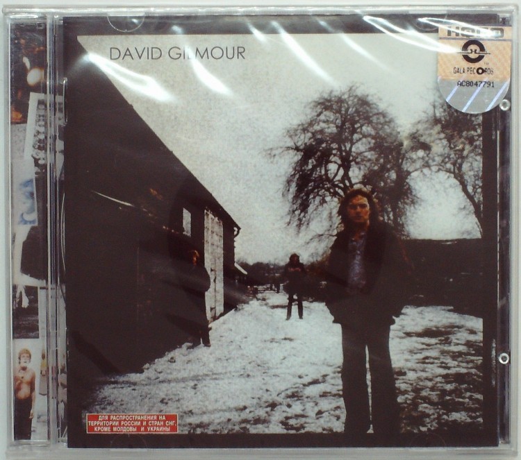 DAVID GILMOUR - DAVID GILMOR